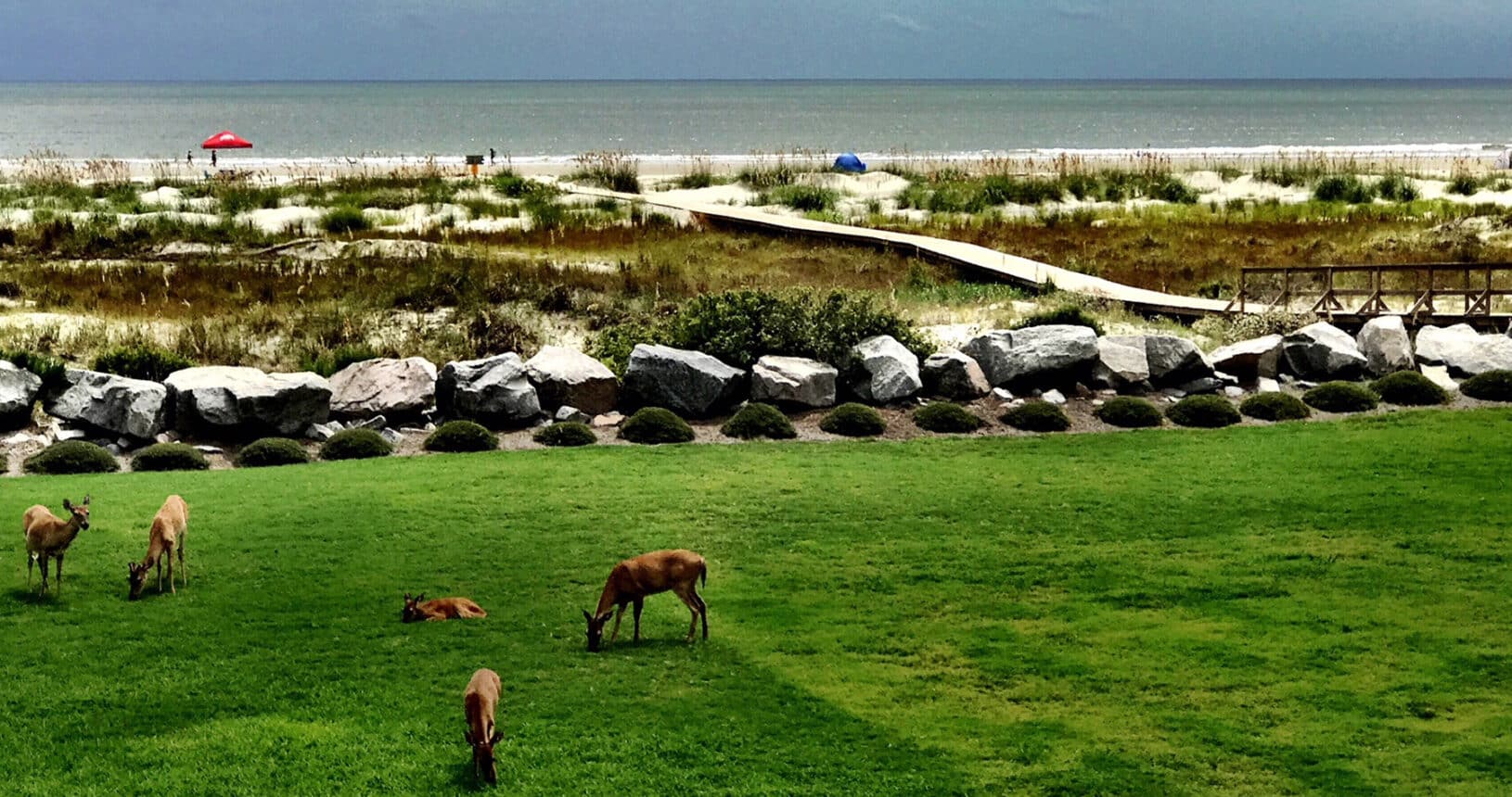 Explore Nature – Fripp Island Stay