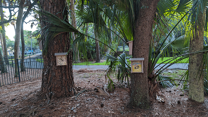 Fripp Island Hannahs Park